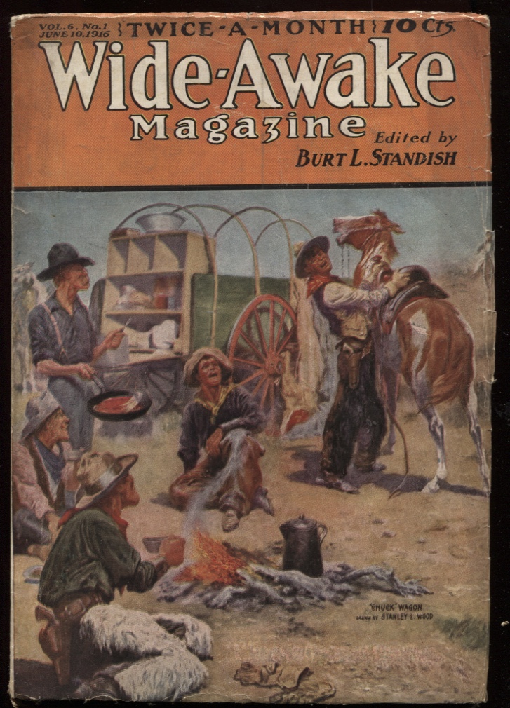 Wide-Awake Magazine. 1916 June 10. "House of Poppies"